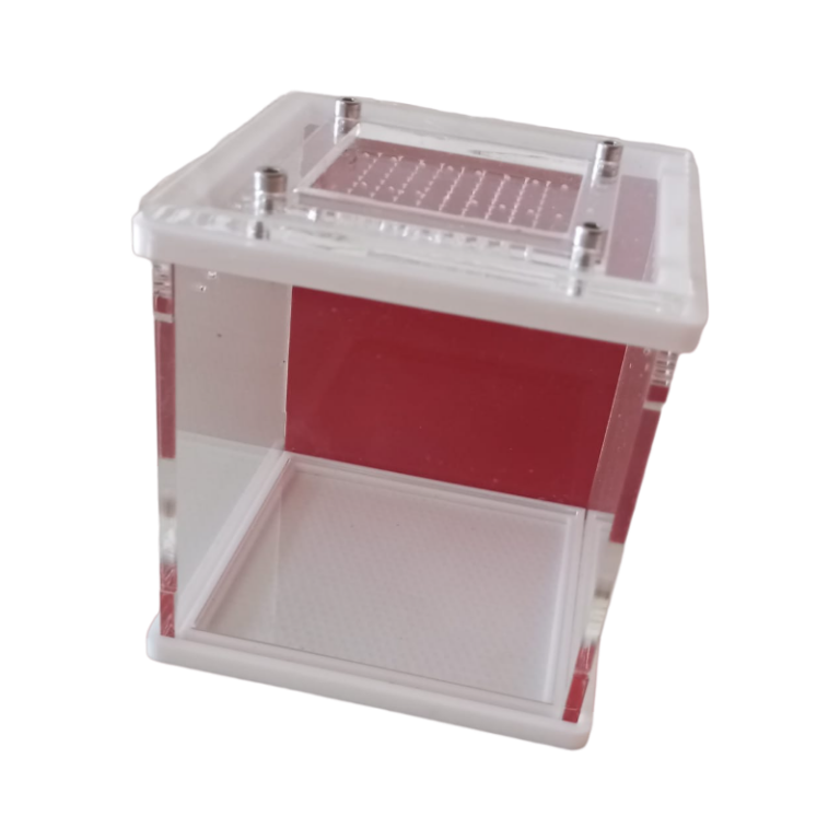 Terrario para insectos y arácnidos (9x9x9) - ANTDERGROUND