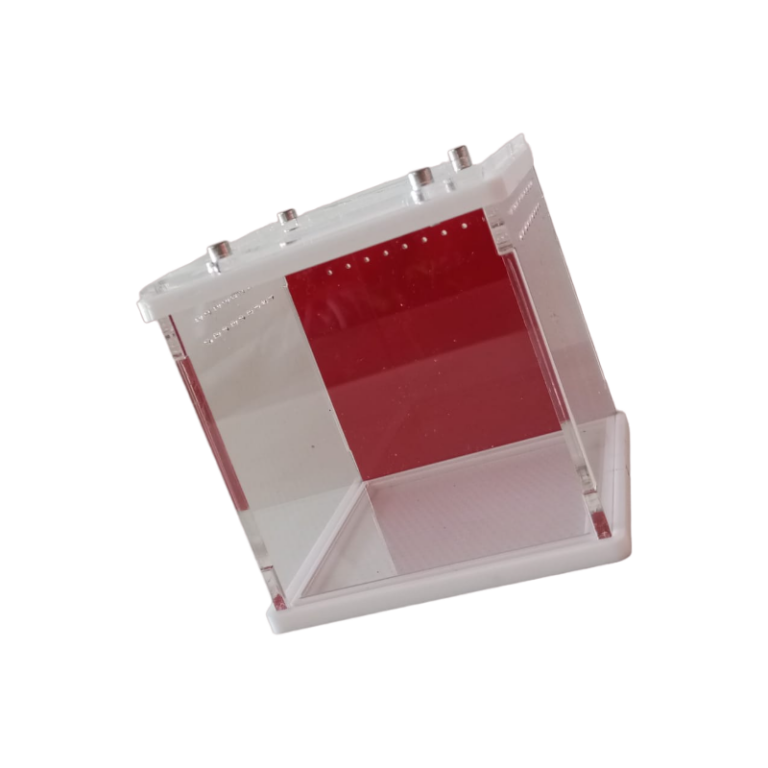 Terrario para insectos y arácnidos (9x9x9) - ANTDERGROUND