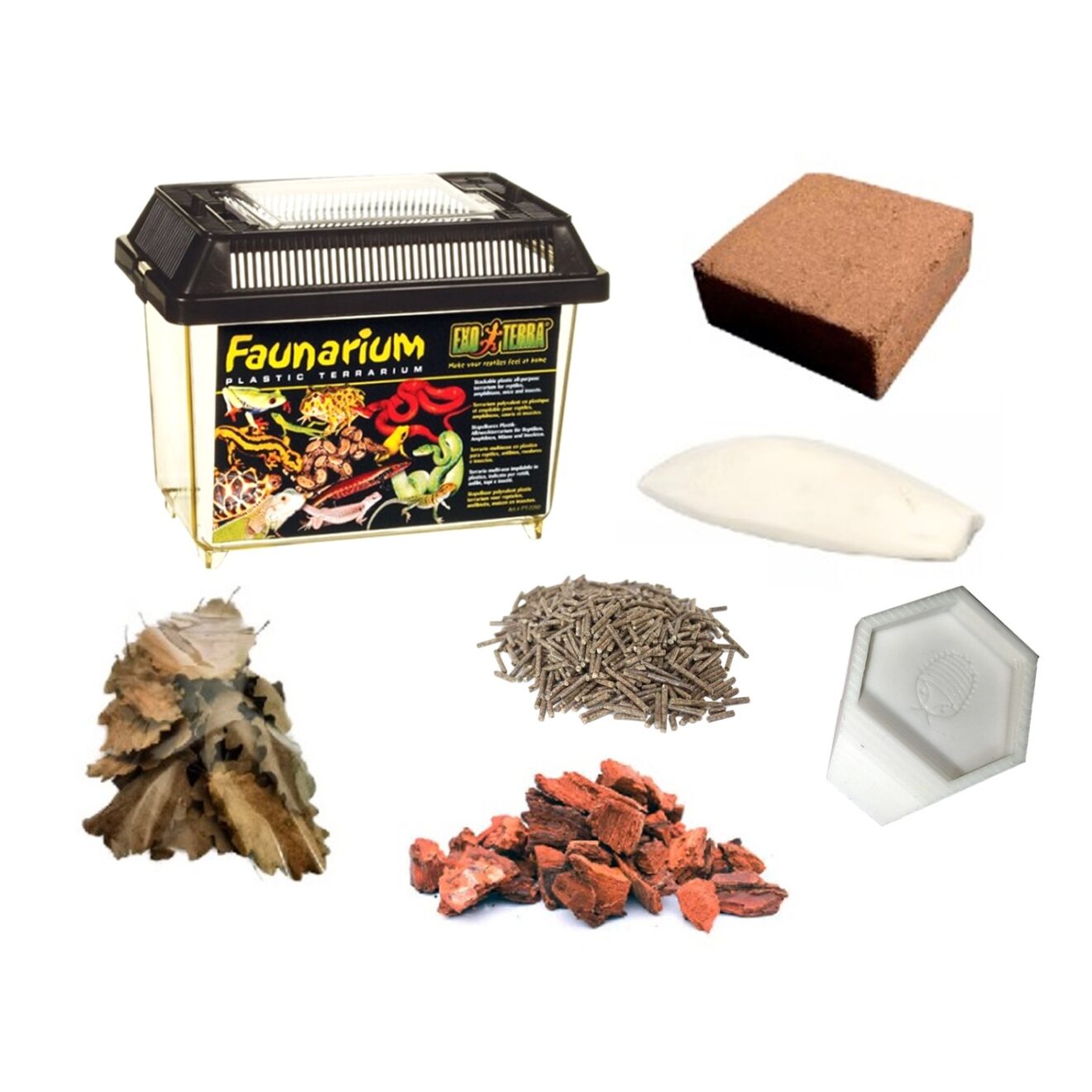 Isopod Starter Kit - ANTDERGROUND