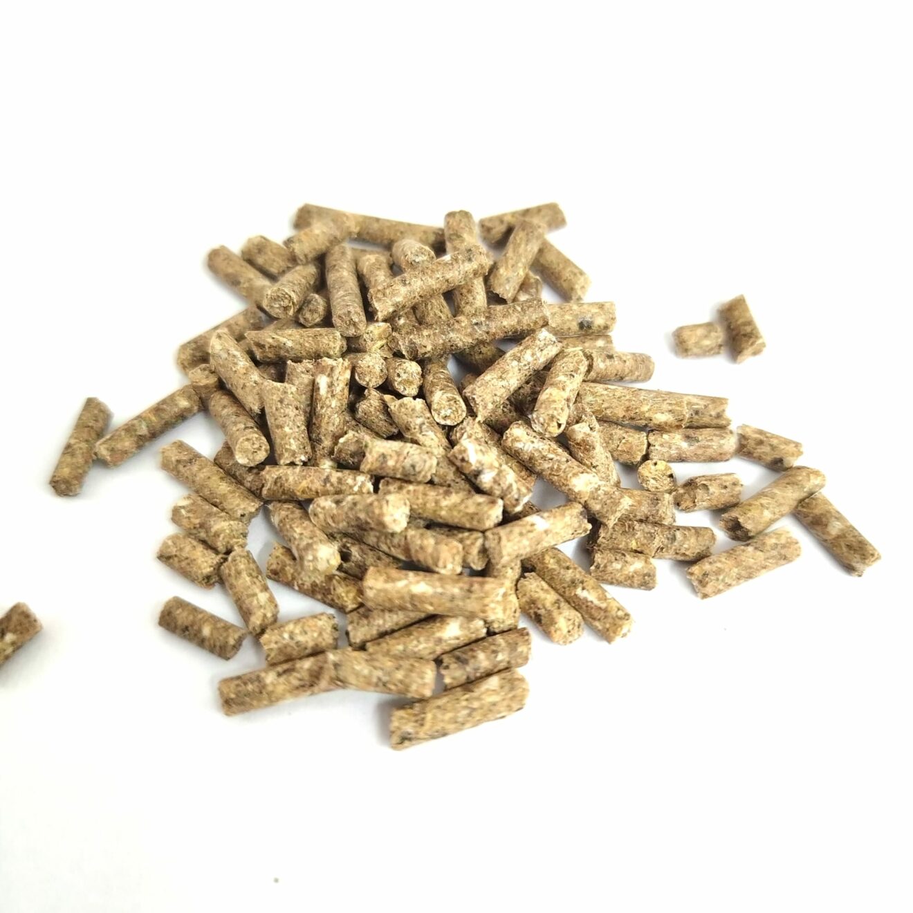 IsoSnack: Nährstoffreiches Futter für Isopoden - ANTDERGROUND